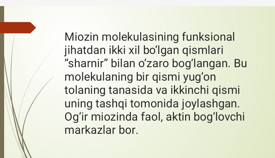 MUSKUL QISQARISH MEXANIZMINING MORFOLOGIK ASOSLARI