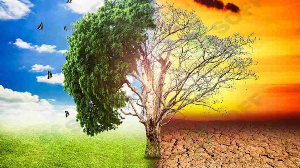 Global iqlim o’zgarishi muammolari