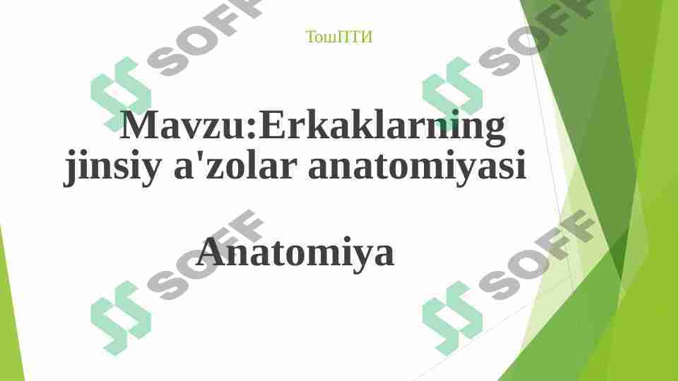 Erkaklarning jinsiy aʼzolari anatomiyasi