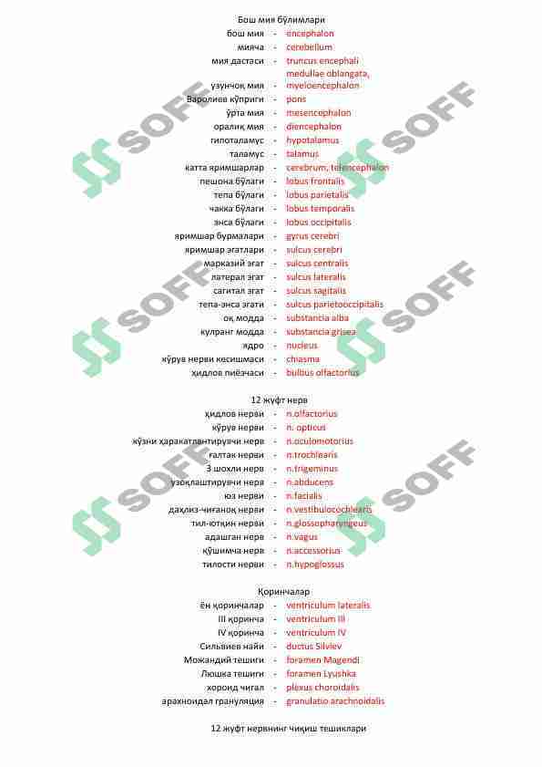 Bosh miya lotin terminlari