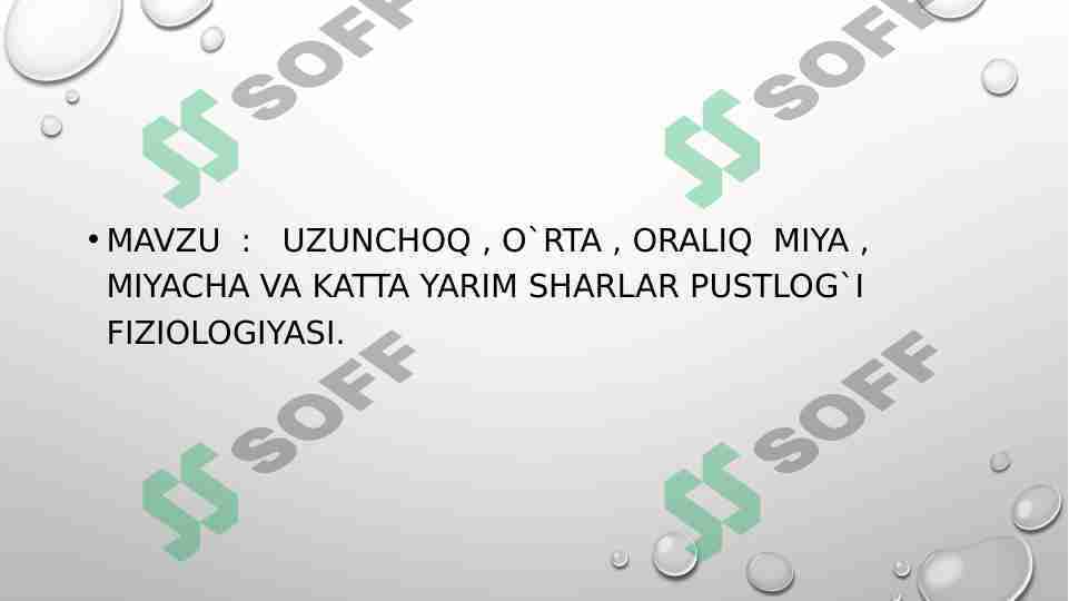 UZUNCHOQ , O`RTA , ORALIQ MIYA , MIYACHA VA KATTA YARIM SHARLAR PUSTLOG ...