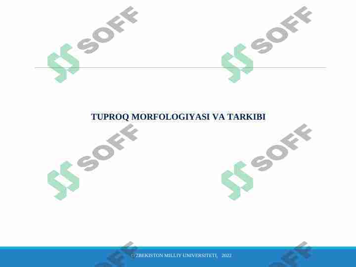 Tuproq morfologiyasi va tarkibi