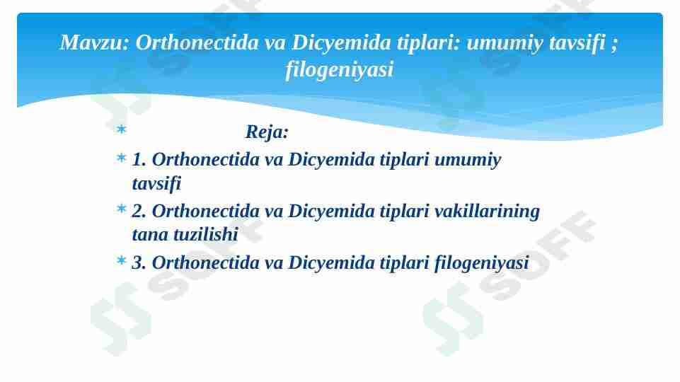 orthonectida va dicyemida tiplari