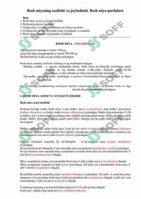 Bosh miya anotomiyasi