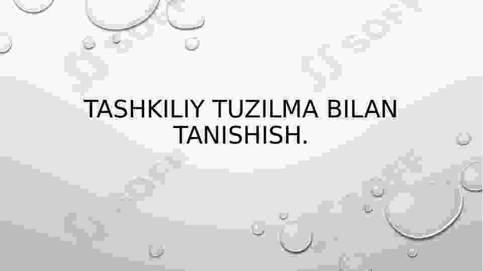 Tashkiliy tuzilma bilan tanishish.
