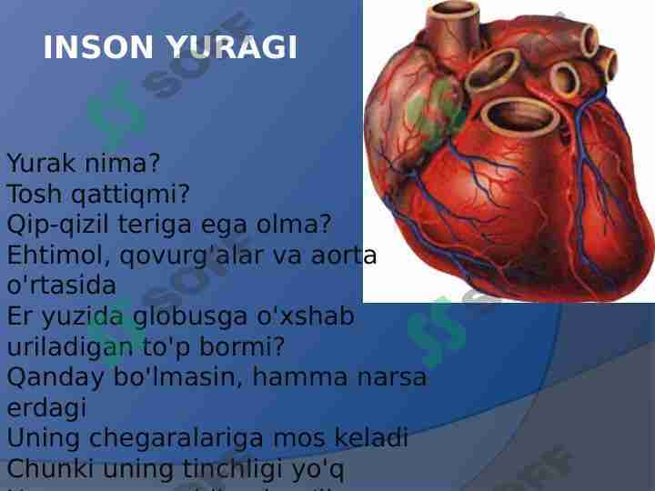 Inson yuragi