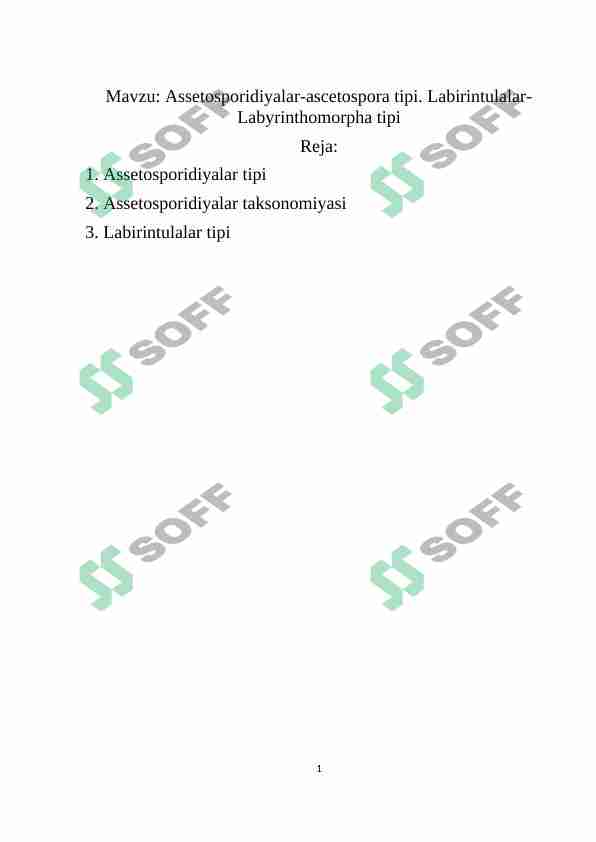 Assetosporidiyalar-ascetospora tipi. Labirintulalar- Labyrinthomorpha tipi