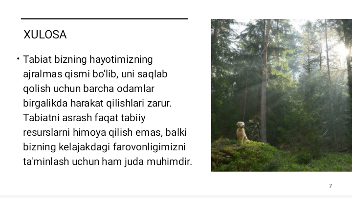 Tabiat haqida asosiy tushunchalar va tabiat kompanentlari