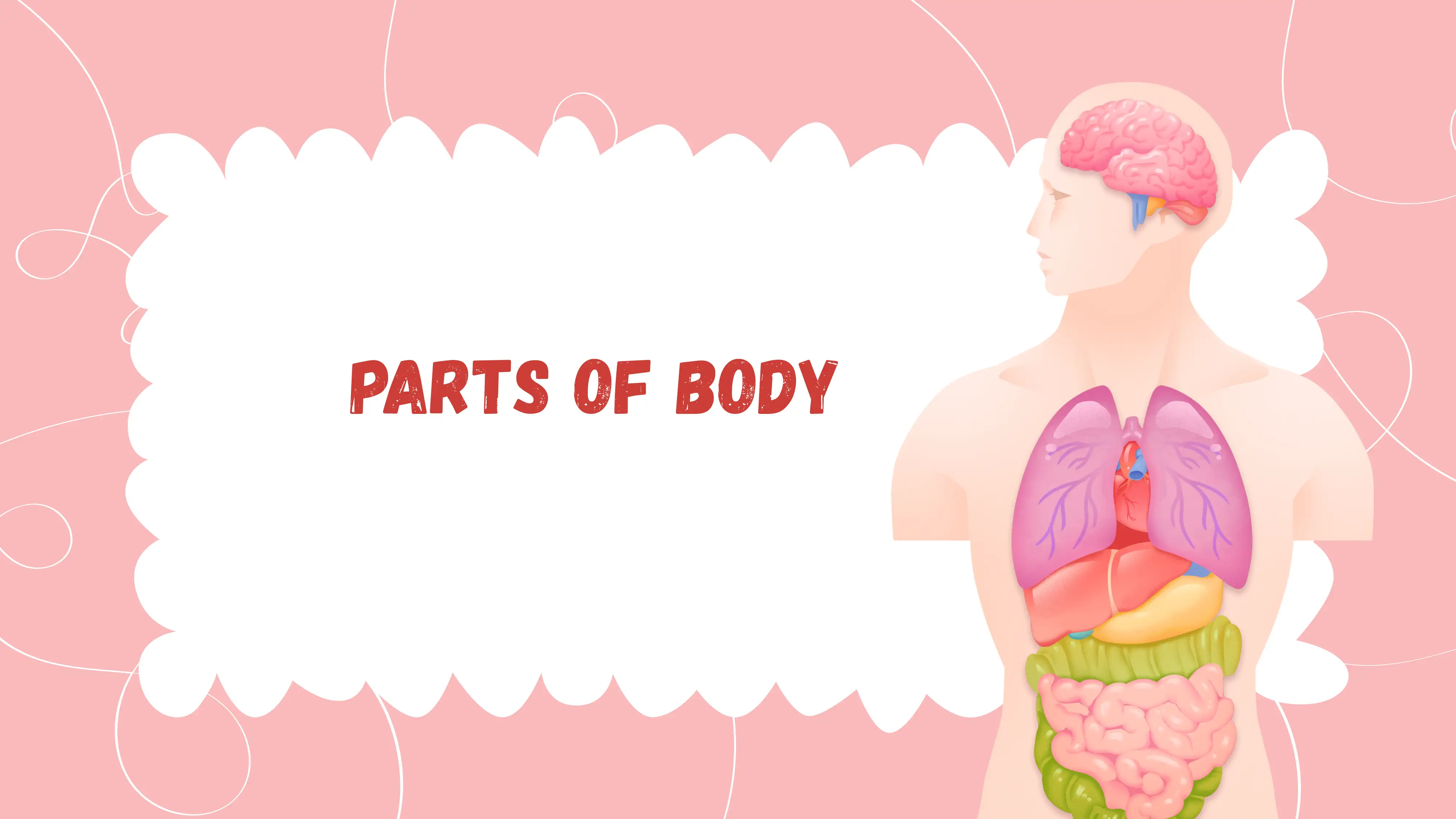 Parts of Body