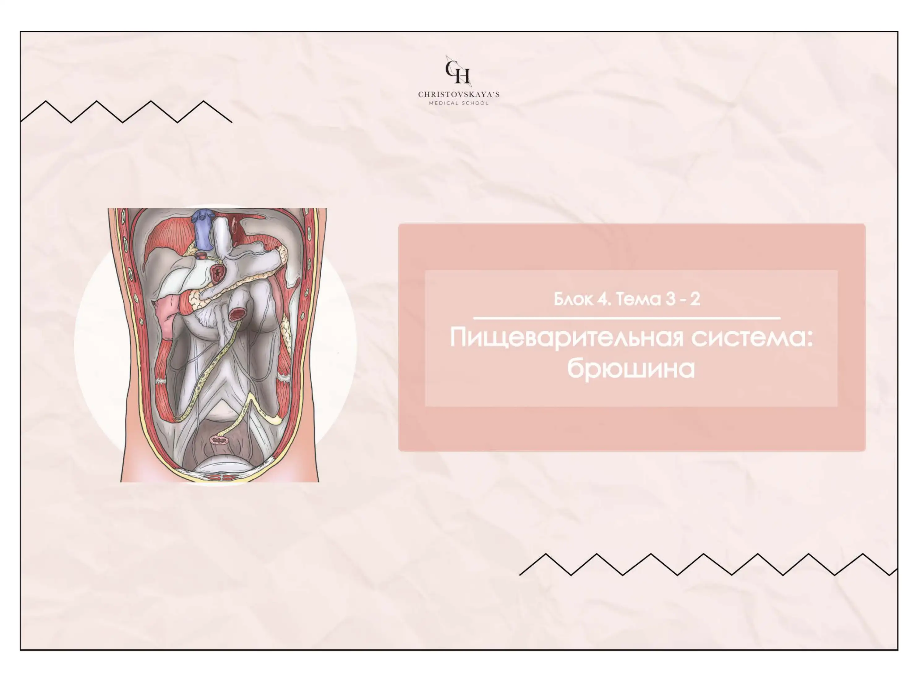 Cavitas abdominalis et peritoneum