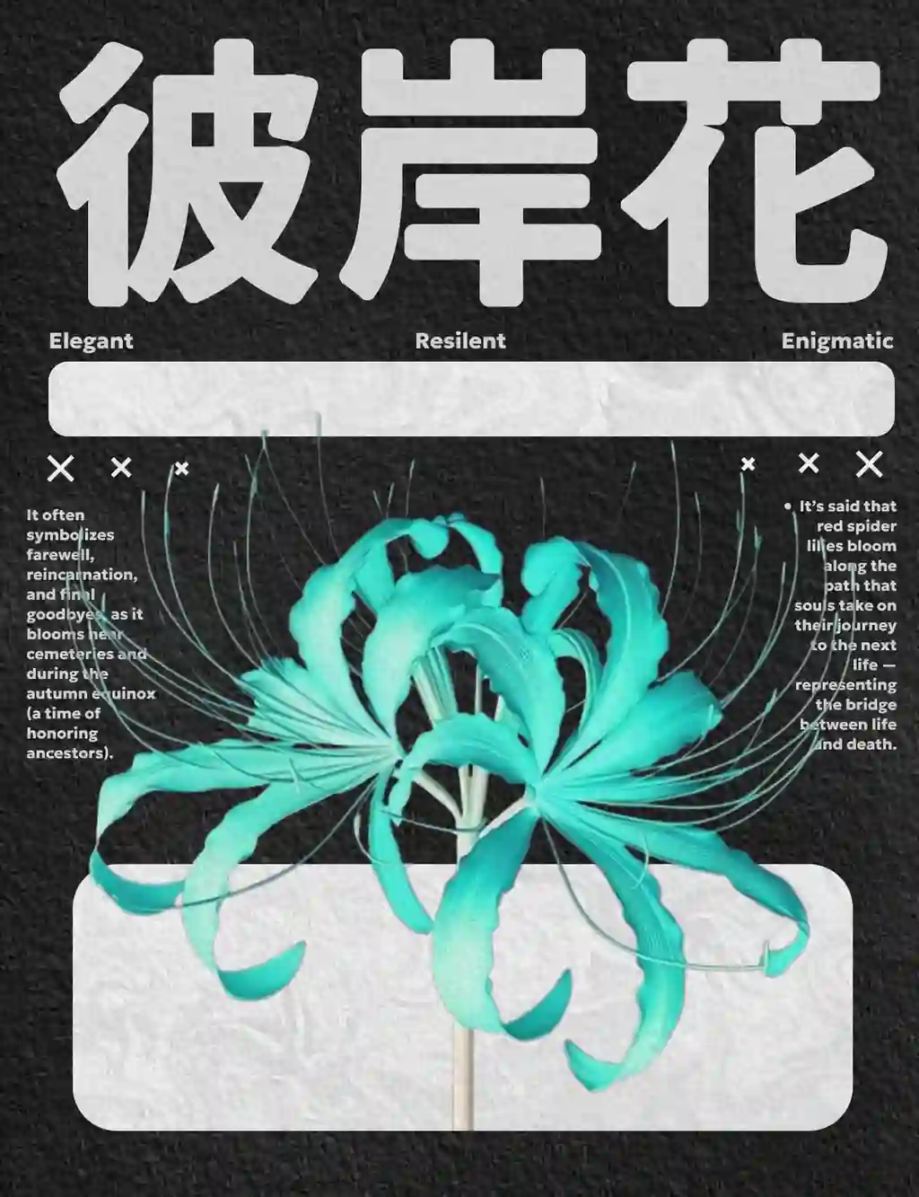 Spider Lilly guliga poster