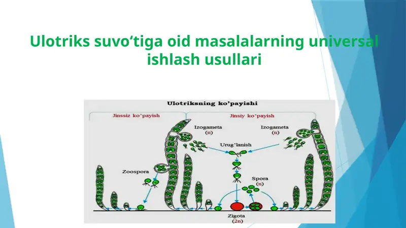 Ulotriks jinsiy ko‘payish texnologiyasi