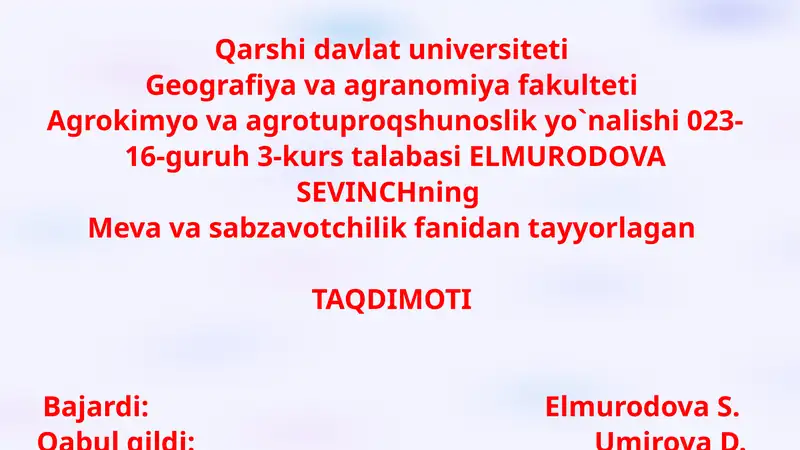 POMIDOR YETISHTIRISH TEXNOLOGIYASI