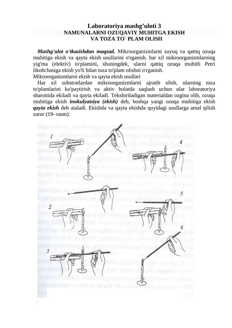 Laboratoriya mashg’uloti 3