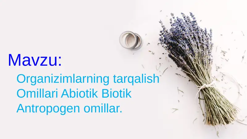 Organizimlarning tarqalish Omillari Abiotik Biotik Antropogen omillar.