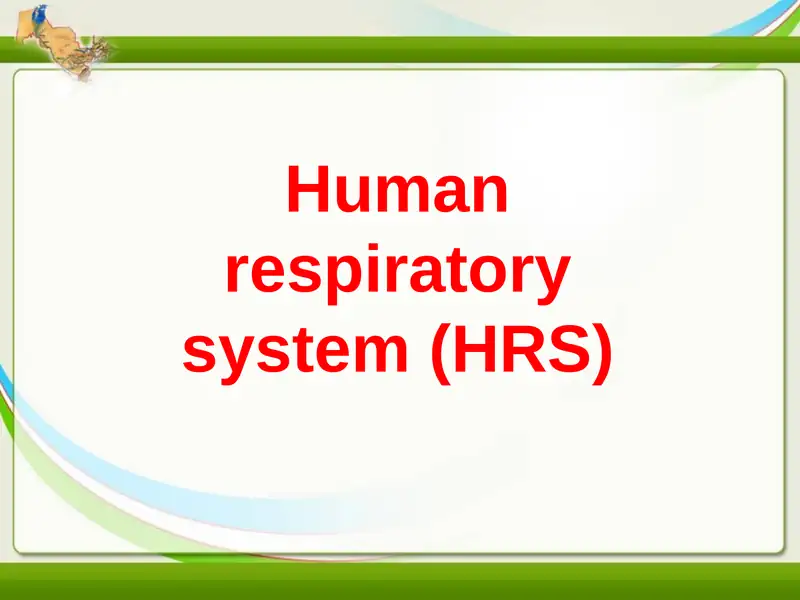 Human respiratory system (HRS)