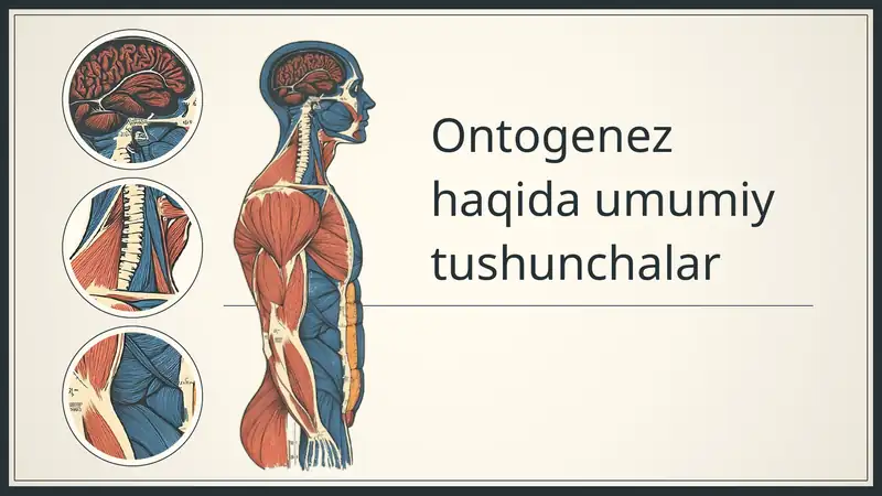 Ontogenez haqida umumiy tushunchalar