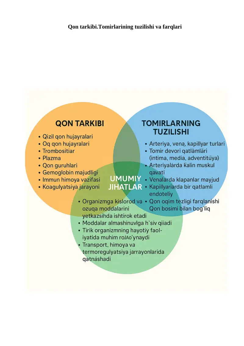 Qon tarkibi.Tomirlarining tuzilishi va farqlari